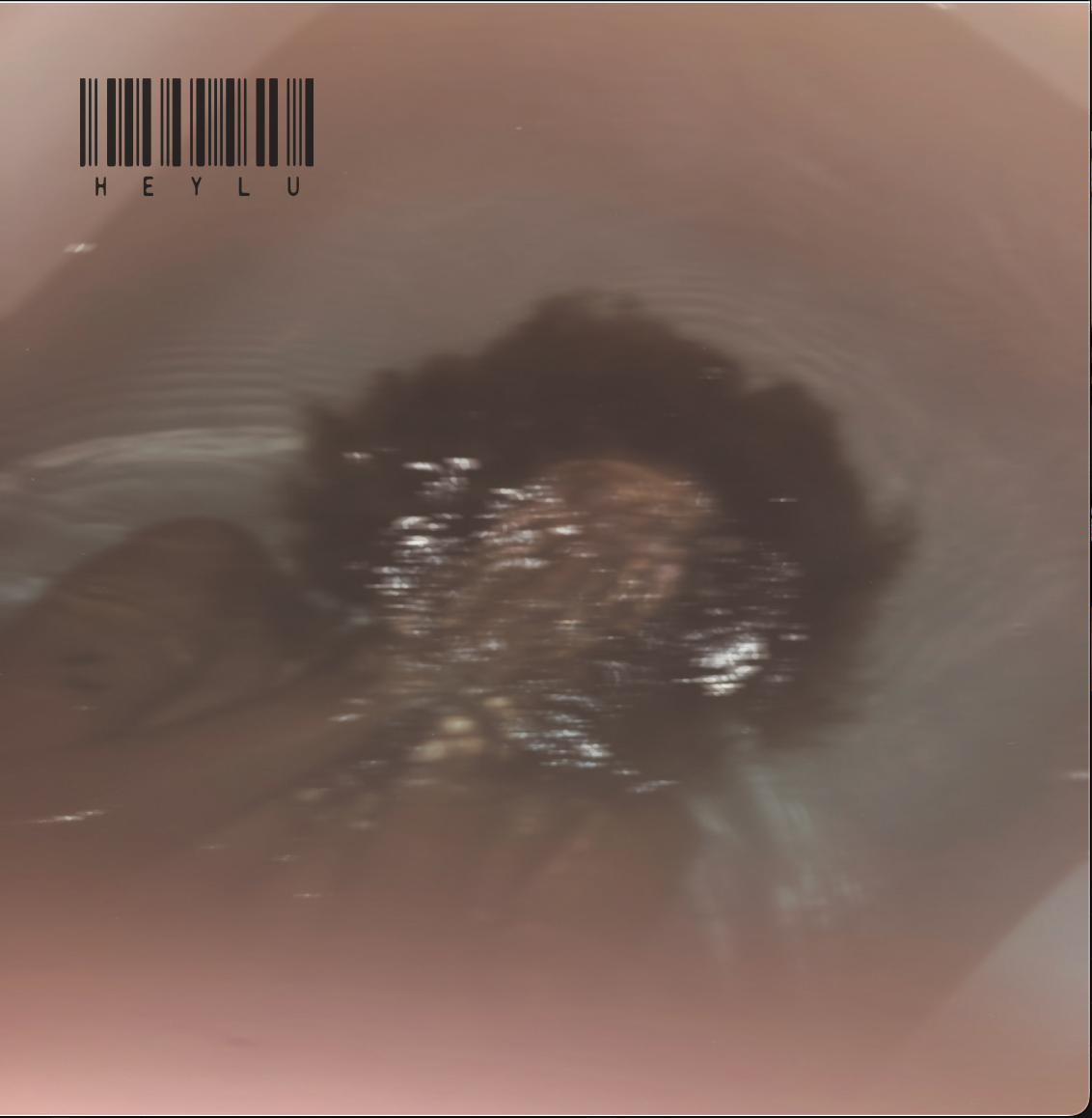 FREE Compilation CD – Heylu